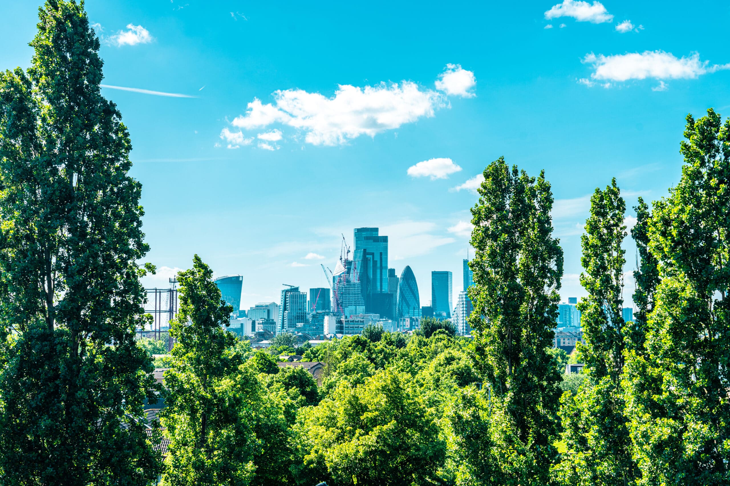 ‘Our transition to net zero must be government-led and people-powered ...
